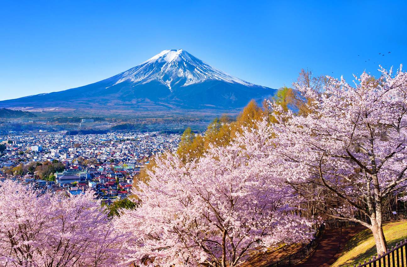 Mount Fuji, Arakurayama Park, Oshino Hakkai, and Lake Kawaguchiko Bus ...